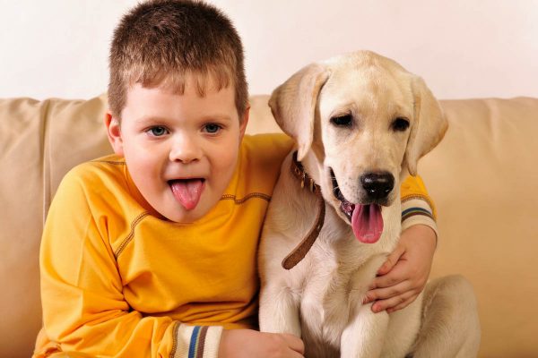 Dog safety around children - Kiwi Families