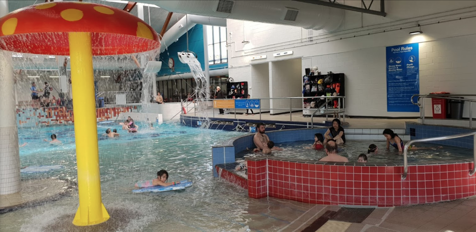 31 AWESOME Things to do in Wellington with Kids - Kiwi Families