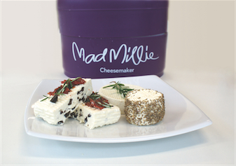 Mad Millie cheese kits - Kiwi Families
