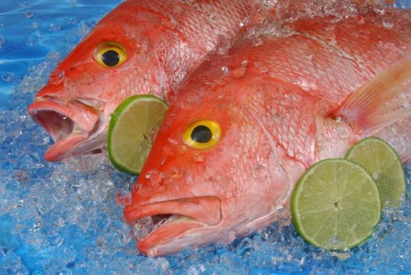 Battered Fish and Chips Recipe - Kiwi Families