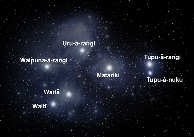 Matariki and the Southern Lights art project - Kiwi Families
