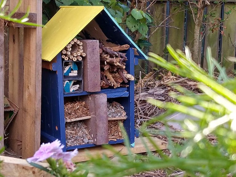 How to make a bug hotel - Kiwi Families