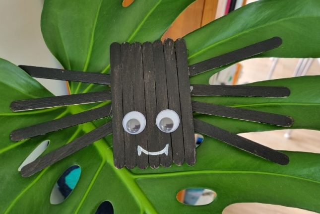 Spider Iceblock Stick Craft - Kiwi Families